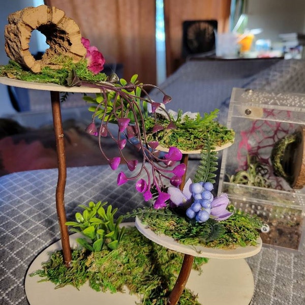 Jumping Spider Enclosure Decor - Etsy