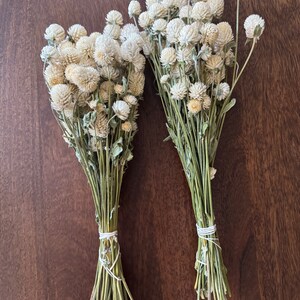 Blue Statice Mix Light Blue Statice Naturally Dried Flowers Everlasting ...