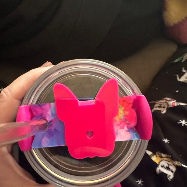 40 OUNCE Stanley Straw Charm Tags H2O Quencher Transparent and Blank ...