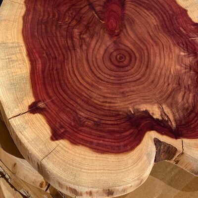 Red Cedar Wood Slices Cedar Wood Round Pick Size 1.5 - Etsy