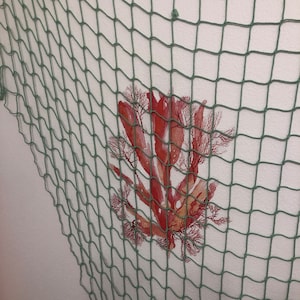 Blue Denim Fish Wall Decals, Bathroom Decor, Home Décor, Vintage Ocean ...