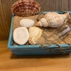 Mini Wooden Beach Crate Beach Decor Personalize Seashell - Etsy