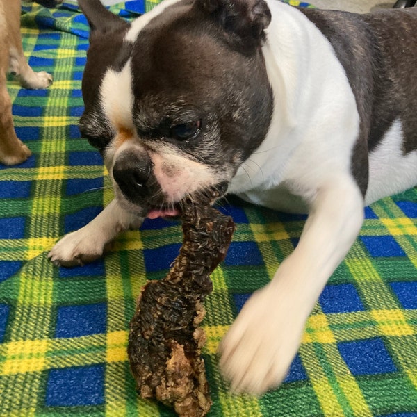 Camel Skin-natural Dog Treats- / Dog Birthday Gift/ Dried Dog Treats ...