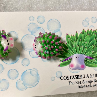 Berghia Coerulescens, the Anemone Sea Slug, Glow in the Dark Nudibranch ...