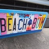 Salty License Plate, Beach Mixed License Plates, Realistic Looking, Not ...