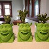 Shrek Planter - Etsy Canada