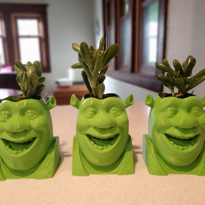 Shrek Planter - Etsy