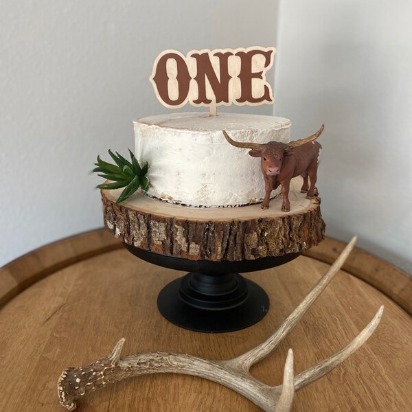 My First Rodeo, First Rodeo Cake Topper, Western First Birthday, Cowboy ...