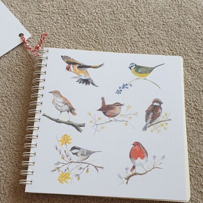 Bird Notebook. British Bird Notebook. Hand Made. Originally Hand ...