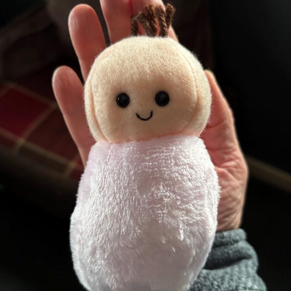 Dumpling Baby Doll, Plushie, Soft Doll - Etsy