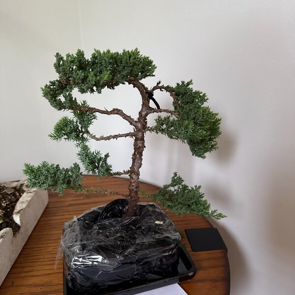 Ceramic Humidity / Drip Tray for Bonsai Pot 8 Inch Tray - Etsy