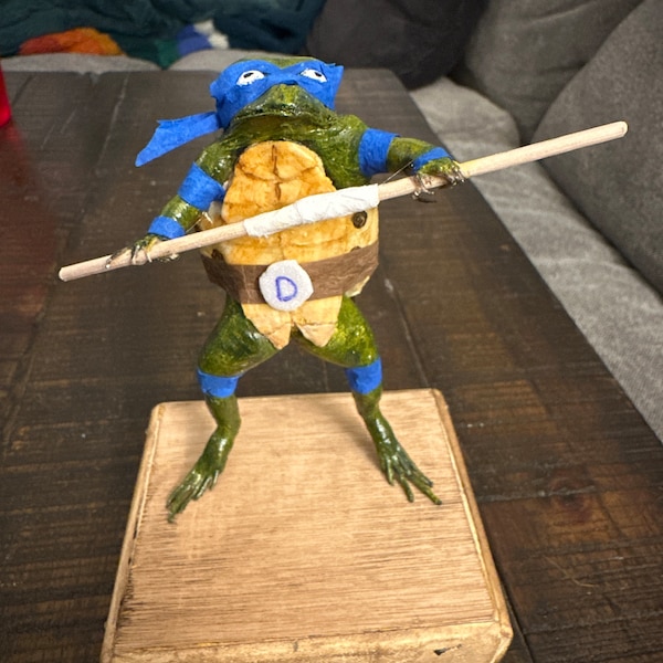 Taxidermy Ninja Frog Taxidermy Frog Comic Book Collection Mutant ...