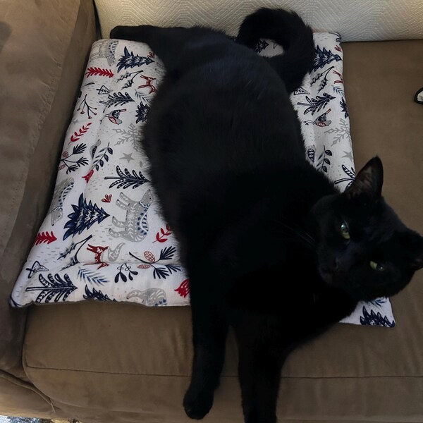 Kitty Gifts Crinkly Cat Nip Mat, Fun Cat Toys, Custom Cat Bed, Padded ...