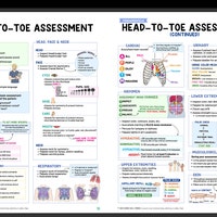 Nursing School Notes Success Bundle: Fundamentals, Medsurg ...