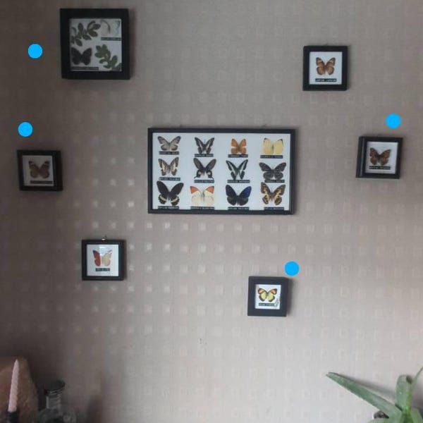 Exquisite Real Bone Splicing Painting DIY Specimen Creative Horror Bone ...