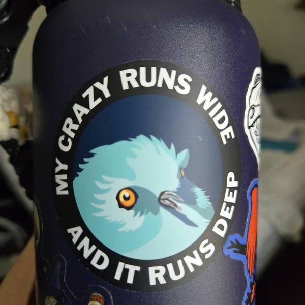 Yelling Set of 8 Thank You Cards - Bird - Thanks - Stationery - Gift ...