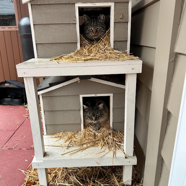 Outdoor Cat Feeding Station: Elevated Platform, Extended Roof - Etsy