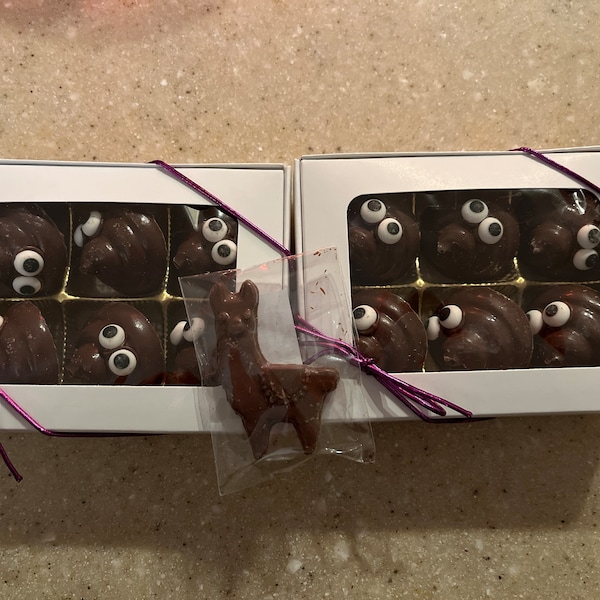 Chocolate Emoji Poop, 6 Pack, Gift Boxed, Crap, Shit, Turd, Insulting ...