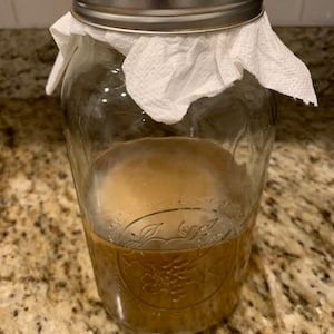 Apple Cider Mother of Vinegar Scoby ACV Starter Homemade - Etsy