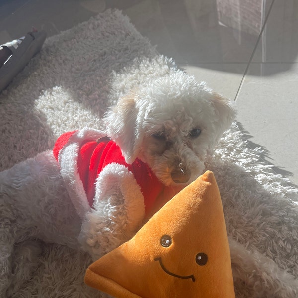 Samosa Plush Chew Toy for Pets - Etsy