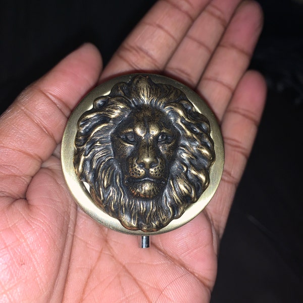 Bronze Lion Pill Box, Pill Holder, Pill Organizer, Trinket Box, Stash ...