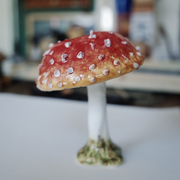 Ceramic Turtle Shell Wall Art, Handmade Turtle Shell Faux Taxidermy - Etsy