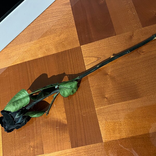 1 Litre of Memorial Funeral Petals | Biodegradable Freeze Dried Real ...