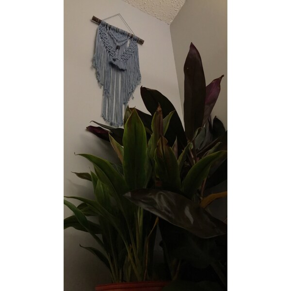 DIY Macrame Kit, Wand Cat Toy, Macrame Cat Toy, Boho Cat Toys, Unique ...