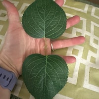 Flower Stem Cover / Green Tubing for Bundling Artificial Flower Stem ...