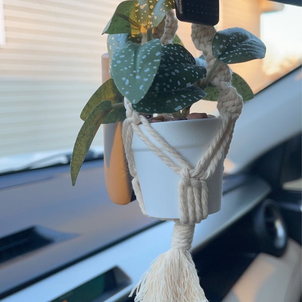 It's Not Hoarding If It's Plants Sassy Sayings Ceramic Plant Pot With ...