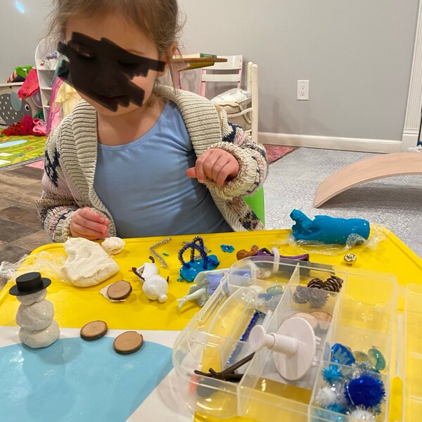 Arctic Toob | Safari LTD | Identification Cards | Fact Cards | Arctic ...