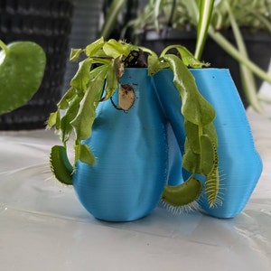 Sabrina Siblings Hugging - Etsy