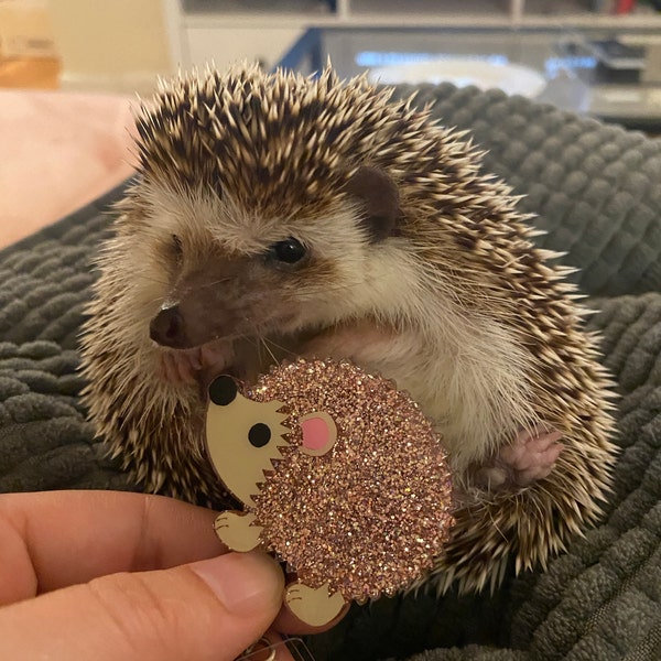 Cute Hedge Hog Badge Reel; Animal ID Holder; Retractable Badge; Glitter ...