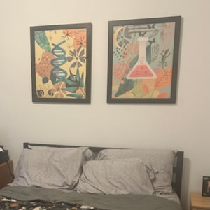 Science Wall Prints, Boho Watercolor Prints, Boho Classroom Wall Art ...