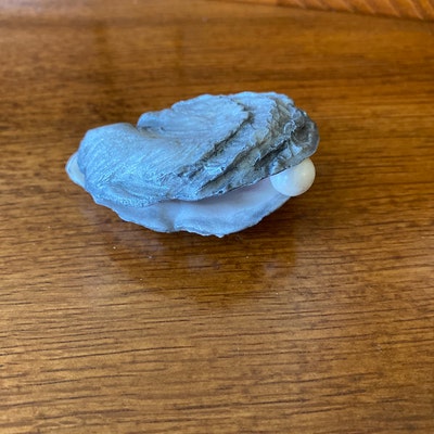 Oyster Shell Silicone Mold by Scott Clark Woolley - Etsy