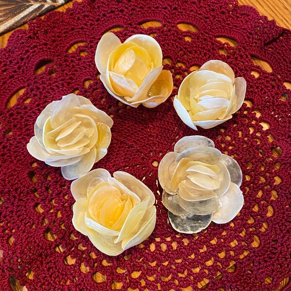 Sanibel Island Jingle Shells - Etsy
