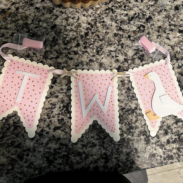 Goose Birthday Pinata, Silly Goose Birthday, Goose Party, Goose ONE ...