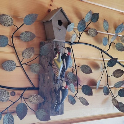 Tibia Spindle Sea Shells White Tibia Shell Long Pointy Shells Shabby ...