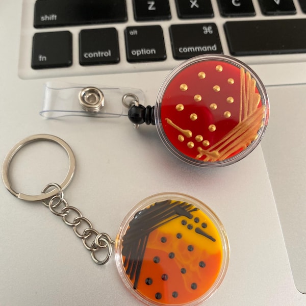 Blood Test Tube Keychain / Chemistry / Transfusion / Blood Bank ...
