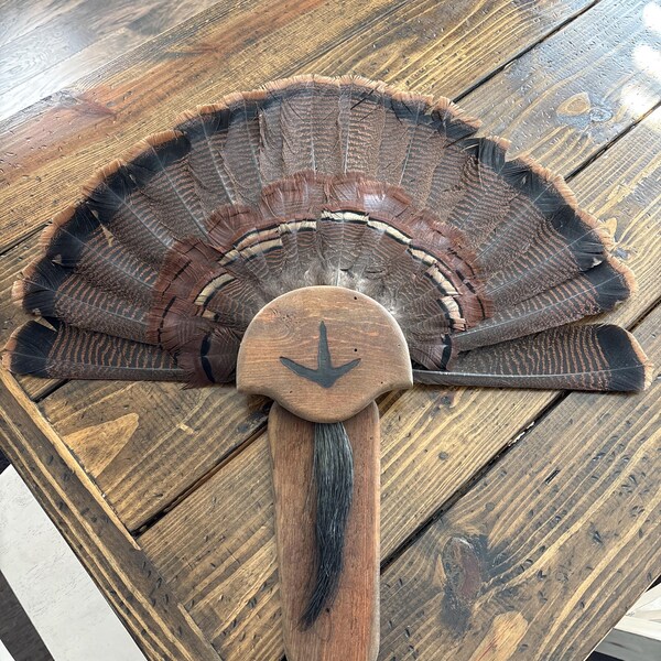 Multi Beard Turkey Fan Display WITH SHELF - Etsy