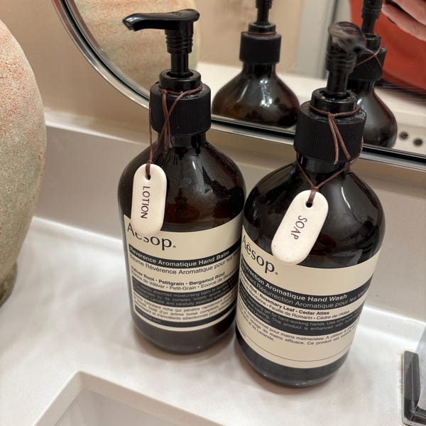 Sugar Saver/ Essential Oil Diffuser- Scallop Shell Sugar Keeper ...