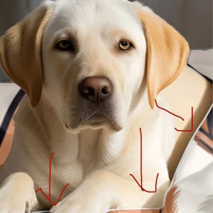 DIY Sublimation Rectangle Slate Mockup, Rock Slate Photo, Blank Slate ...