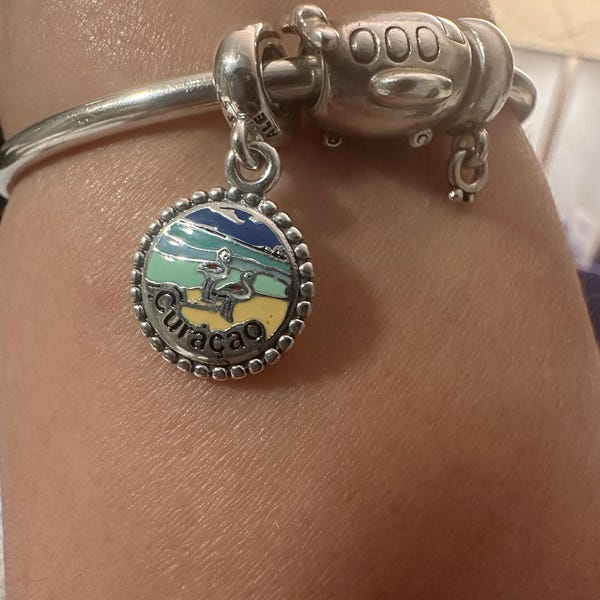 Pandora HOME Florida Map Exclusive Dangle Charm Charm for Bracelet and ...