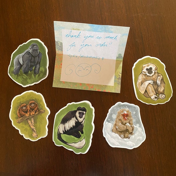 Primate Species Sticker / Vinyl Sticker / Laptop Sticker / Monkey ...