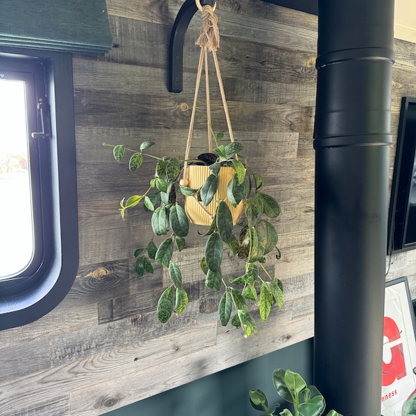 Indoor Plant Hook, Wall Mounted Wooden Plant Hanger STEM Plant Bracket ...