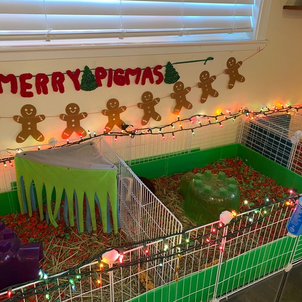 Merry Pigmas Garland in Cage for Guinea Pigs! Fanny Christmas Gift! - Etsy