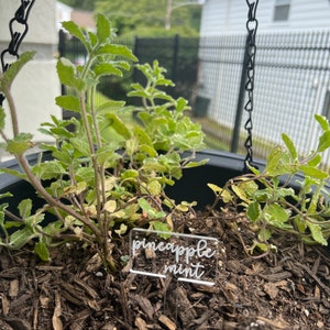 Personalized Acrylic Garden Sign Flower Pot Message Sticks | Etsy