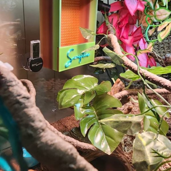 Reptile Insect Feeder Box (customizable) - Etsy
