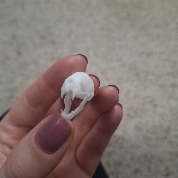 Human Skeleton HO Scale 1:87 Miniature for Horror Diorama, Dollhouse ...