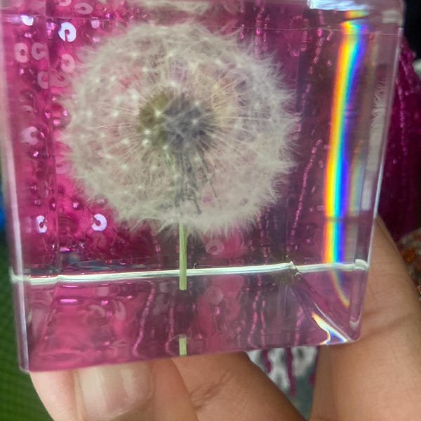 Dandelion Paperweight, Handmade Resin Art, Wish Cube Decor Paperweight ...